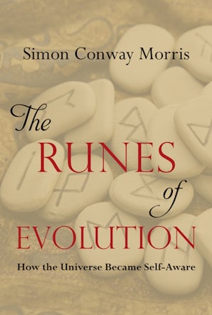 The Runes of Evolution